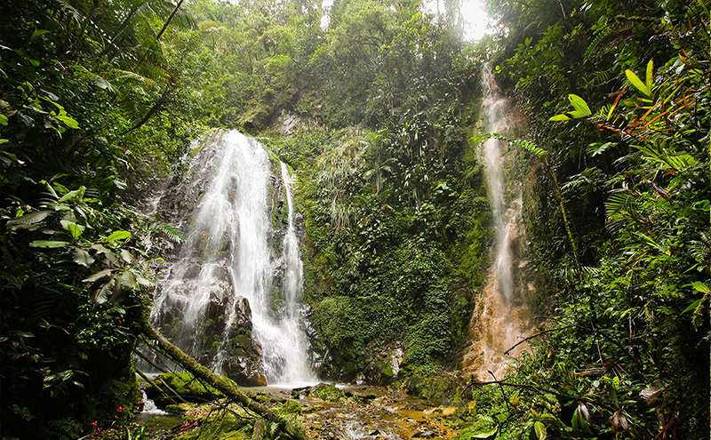 Valle Sagrado de Intag - Comecuamex